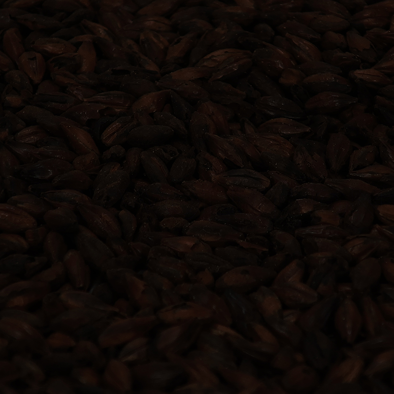 Castle Malting Black Malt (Sortmalt) - ViBrygger.dk