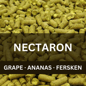 Nectaron humle (2024), 100 gram - ViBrygger.dk