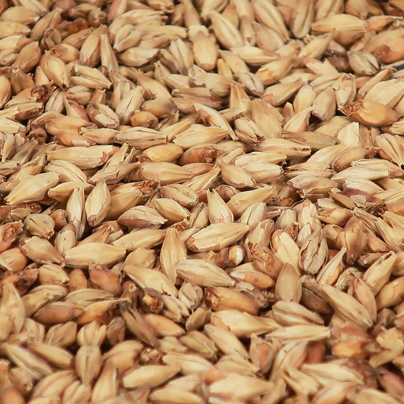 Castle Malting Munich Light malt - ViBrygger.dk